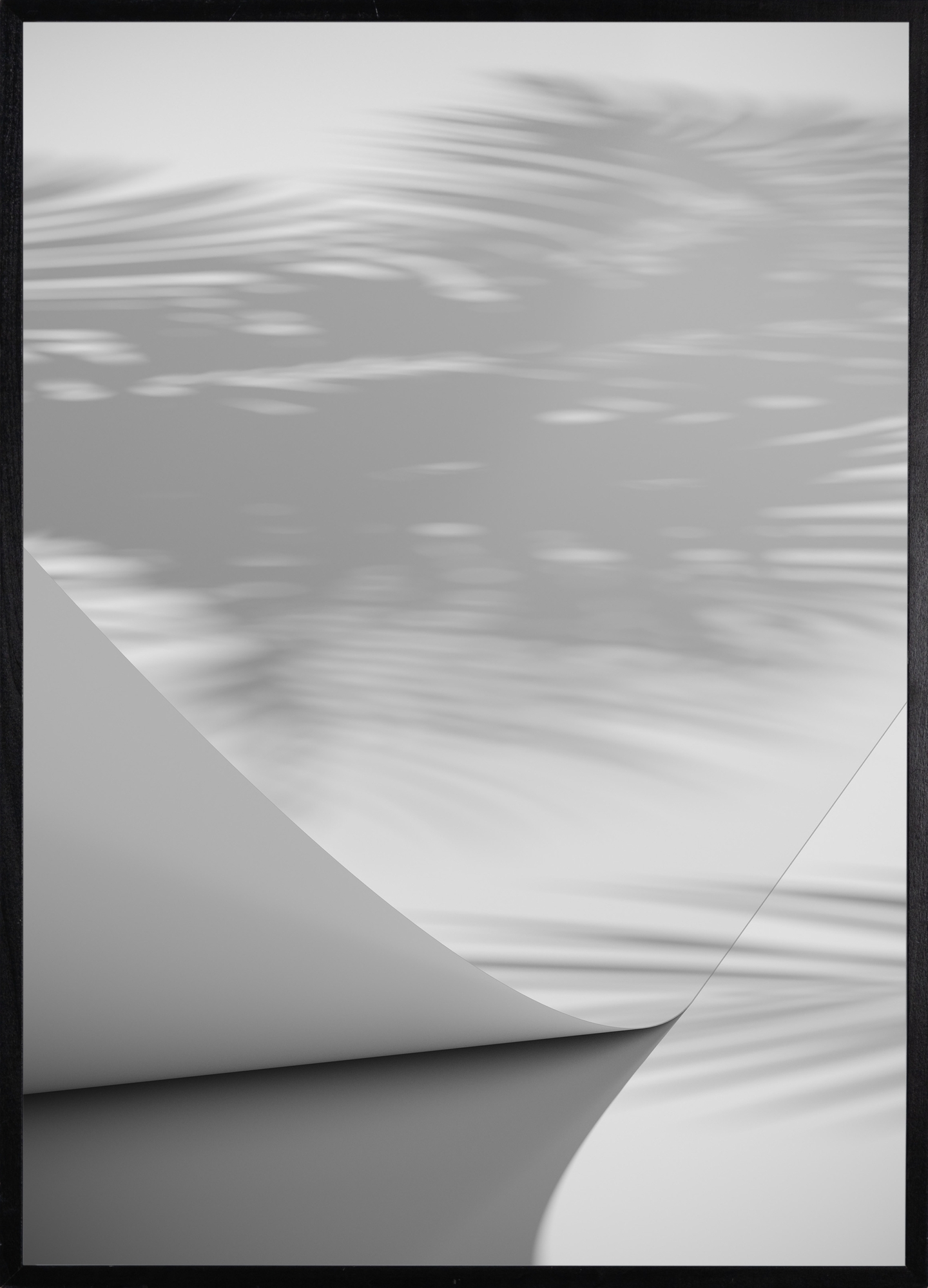 Poster - Papyrus - 289 kr - Posters - Trendrum.se